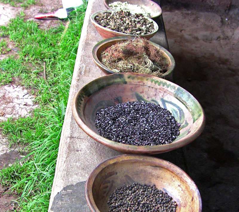 Cochineal: The Royal Red of Natural Dyes - ClothRoads
