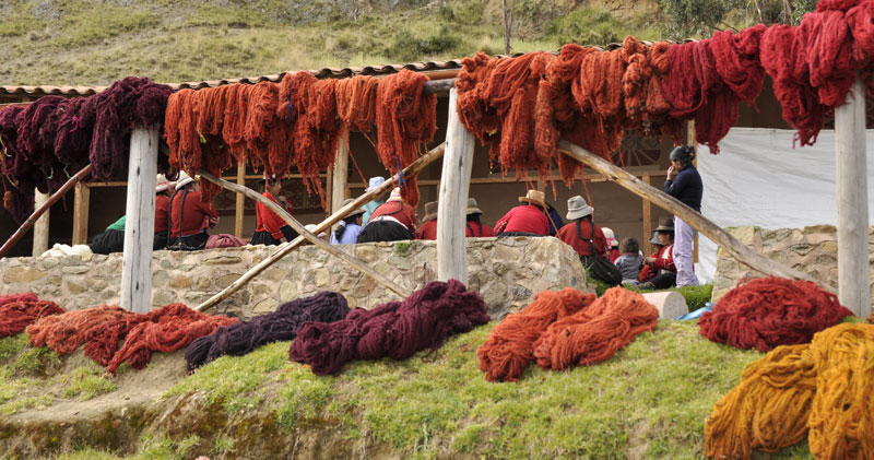 Cochineal: The Royal Red of Natural Dyes - ClothRoads