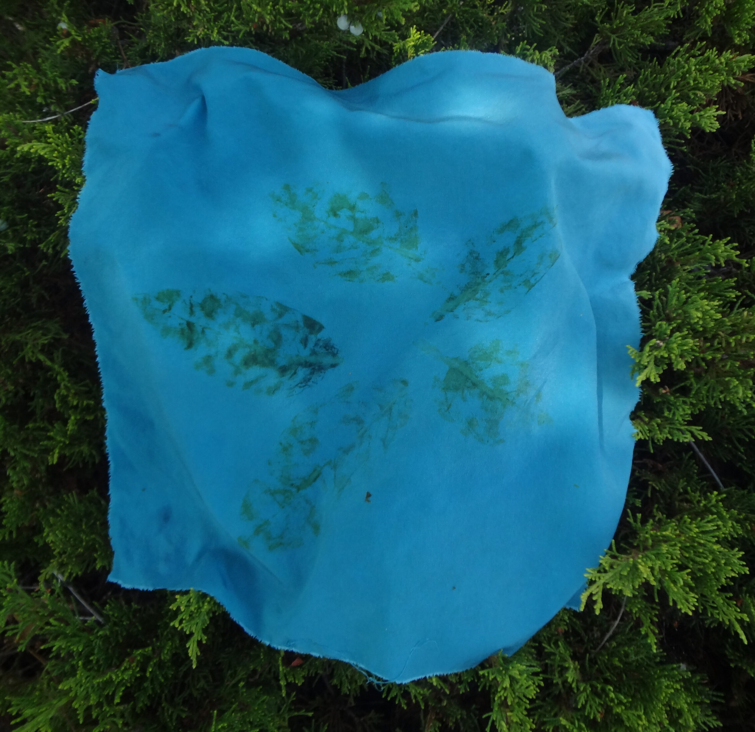Natural Dyes: Explore the World of Indigo - ClothRoads