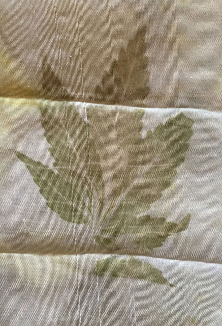 Hemp: An Ancient Fiber for a Sustainable Future - ClothRoads