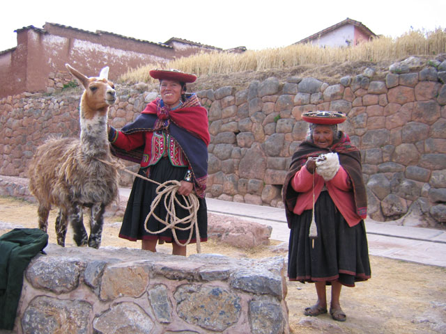 Know Your Camelid For Spinning - ClothRoads